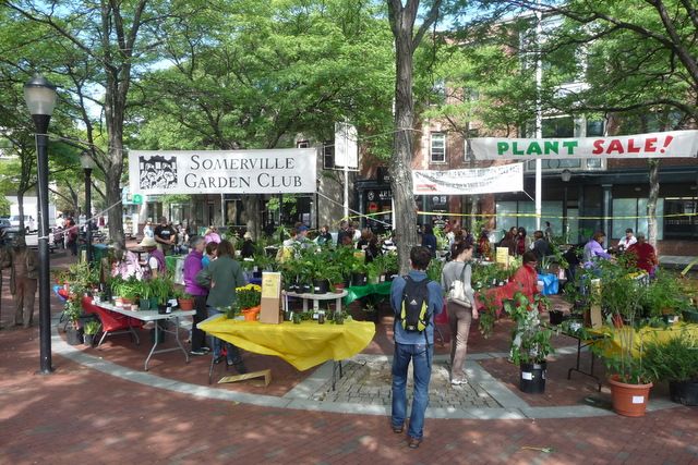 Davis Square and Teele Square, Somerville, Massachusetts